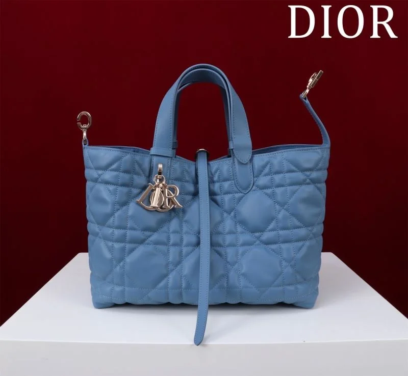 Christian Dior Shopping Bags