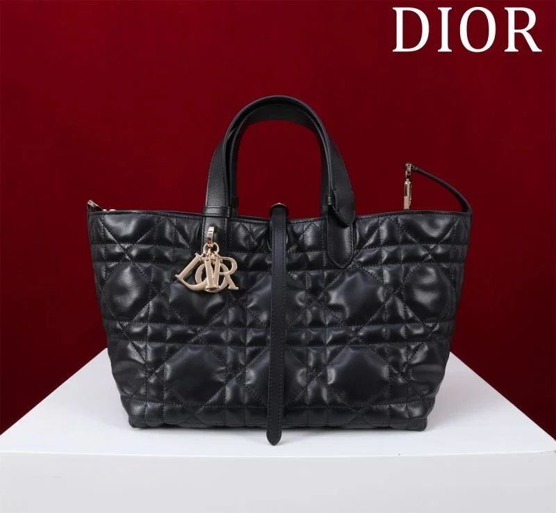 Christian Dior Shopping Bags