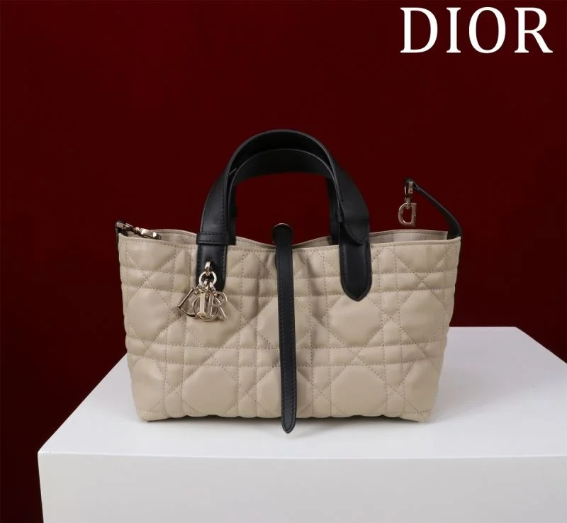 Christian Dior Shopping Bags