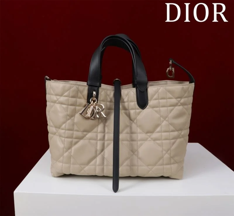 Christian Dior Shopping Bags