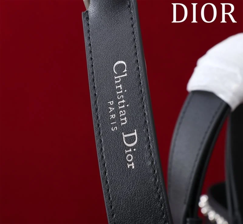 Economical Christian Dior Shopping Bags