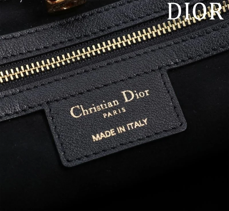High accuracy Christian Dior Shopping Bags