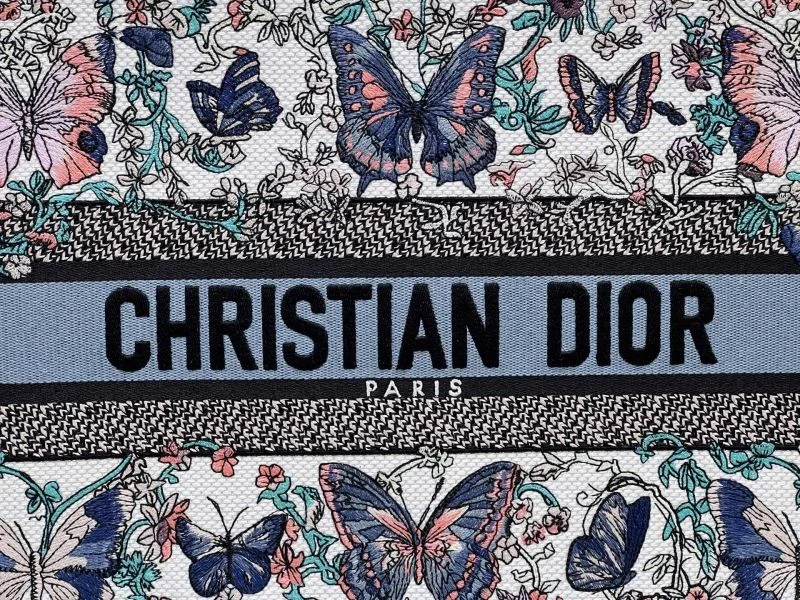 Indistinguishable Christian Dior Shopping Bags