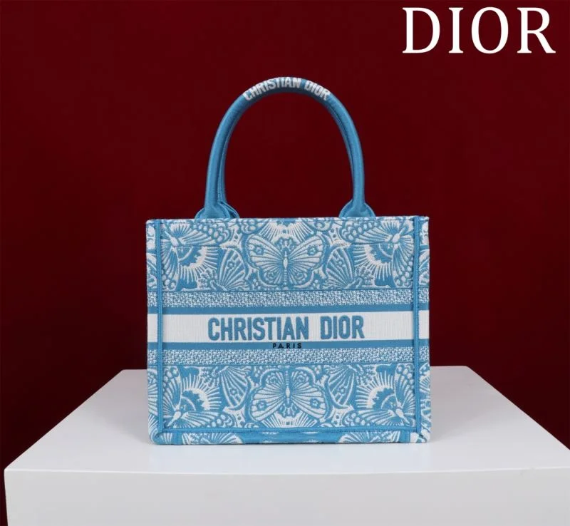 Christian Dior Shopping Bags