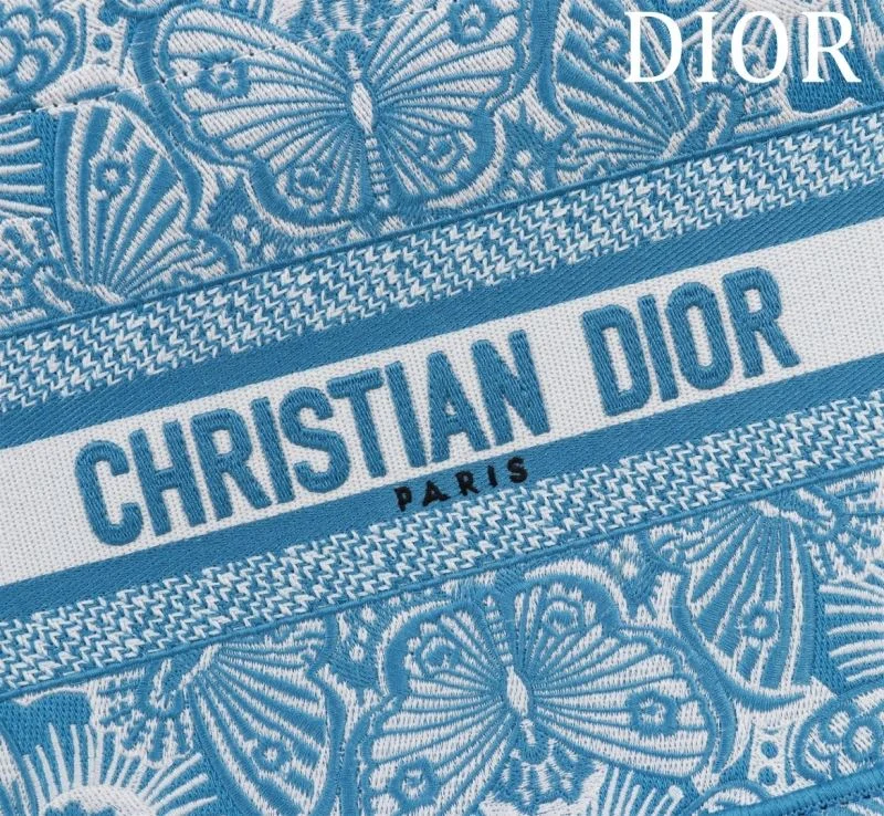 Budget-friendly Christian Dior Shopping Bags