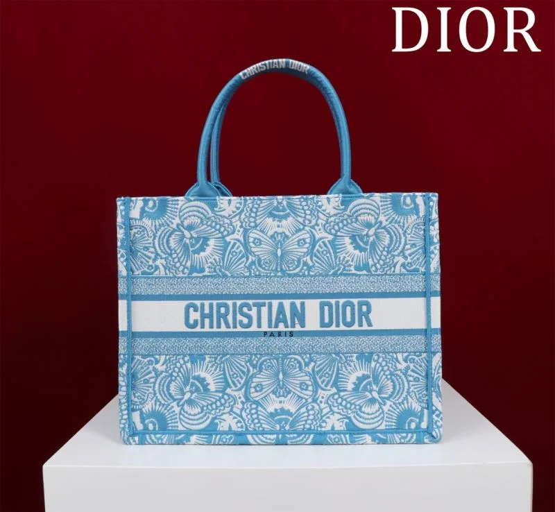 Christian Dior Shopping Bags
