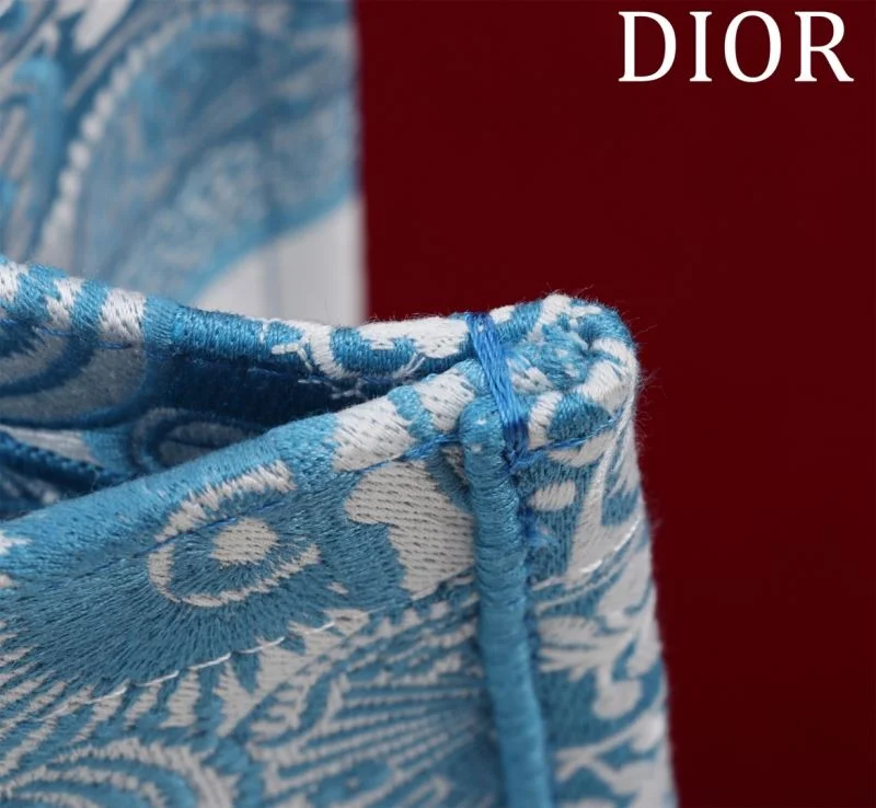 Indistinguishable Christian Dior Shopping Bags