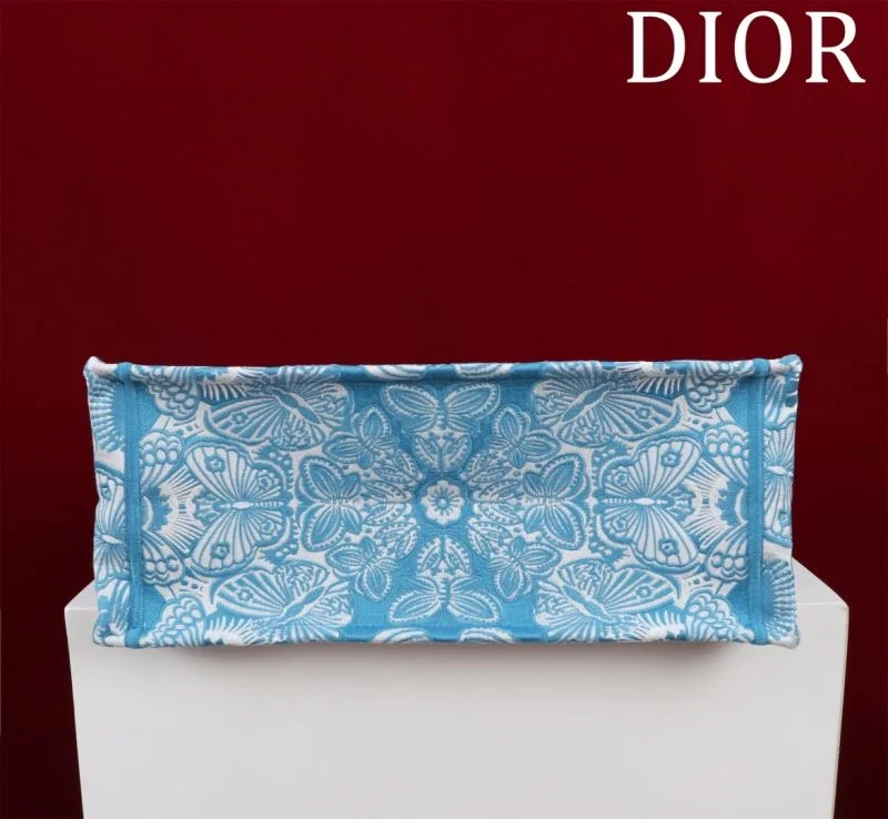 Indistinguishable Christian Dior Shopping Bags