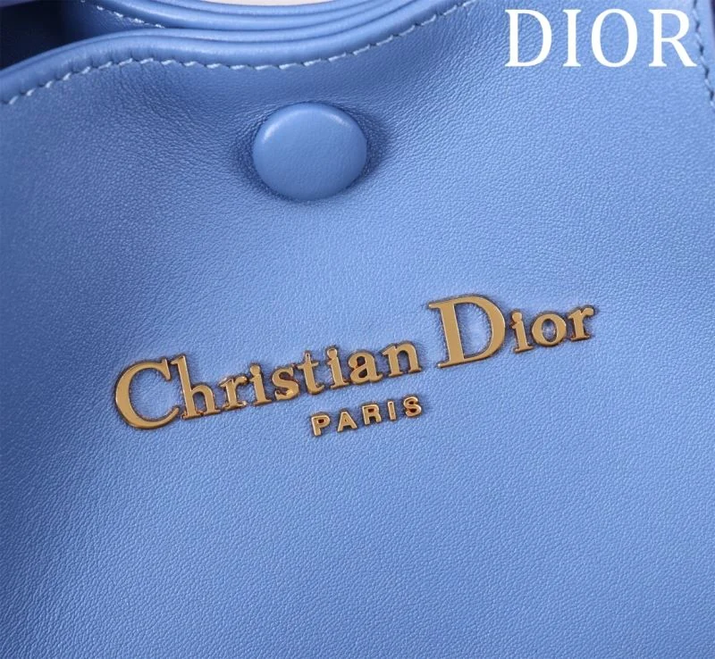High accuracy Christian Dior Shopping Bags