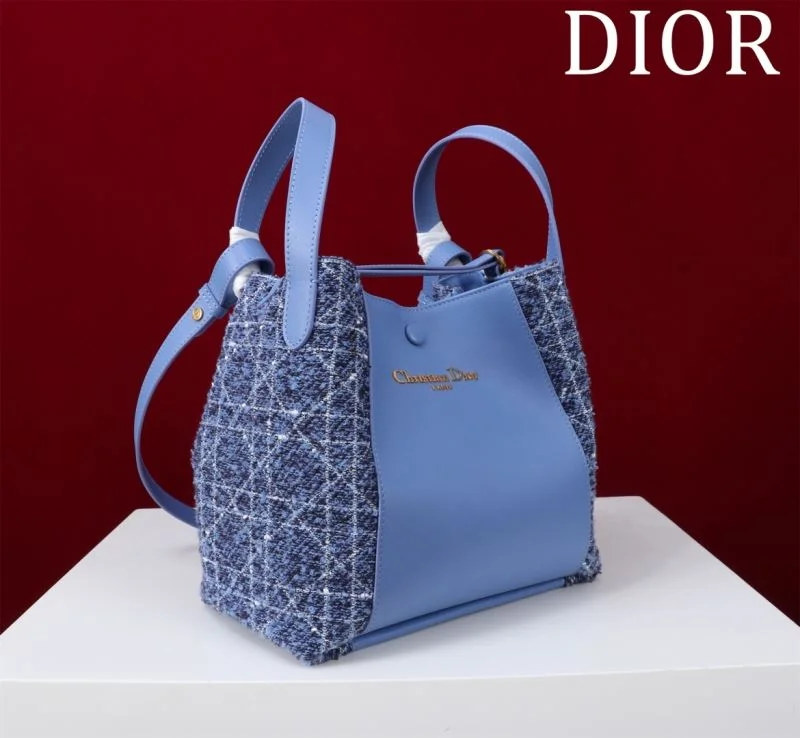 Official Christian Dior Shopping Bags