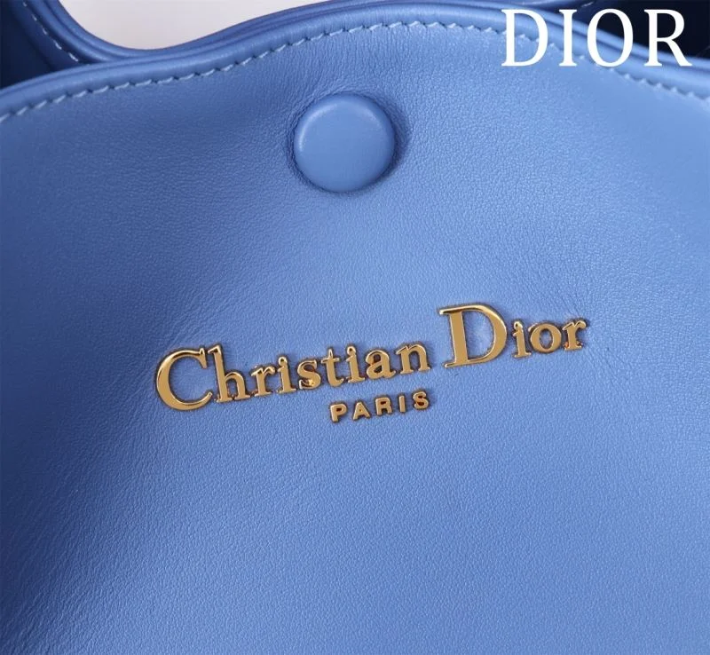 Official Christian Dior Shopping Bags