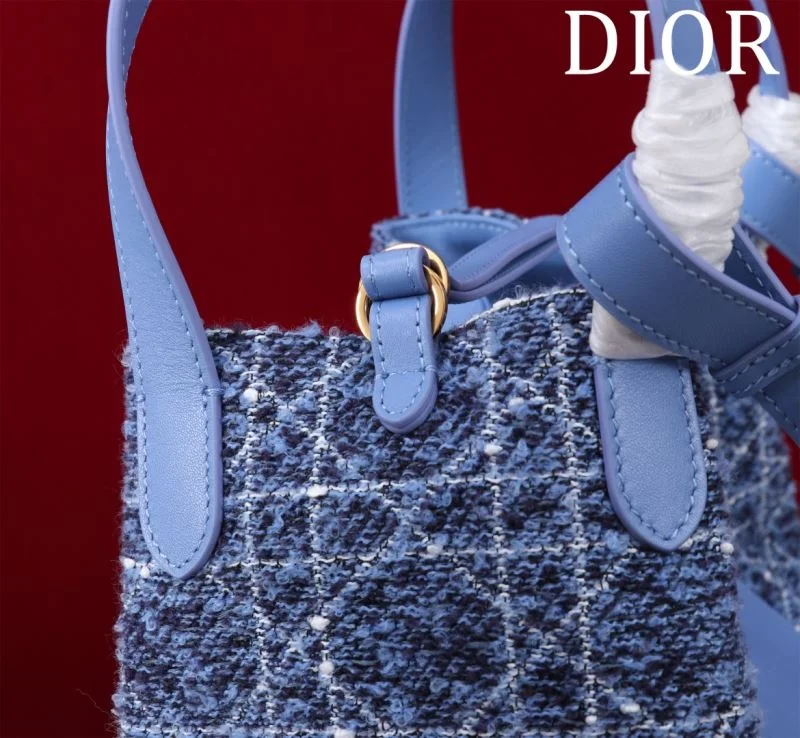 Official Christian Dior Shopping Bags