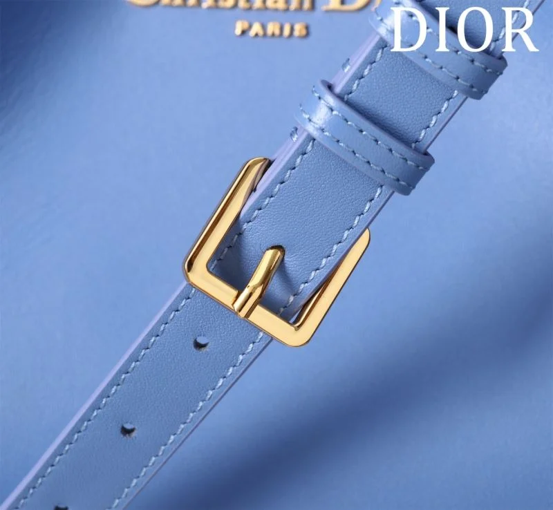 Official Christian Dior Shopping Bags