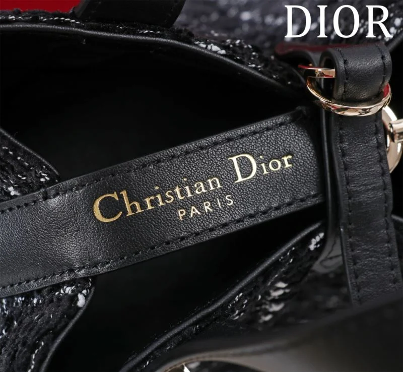 Official Christian Dior Shopping Bags
