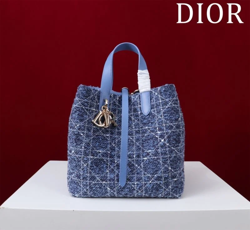 Official Christian Dior Shopping Bags
