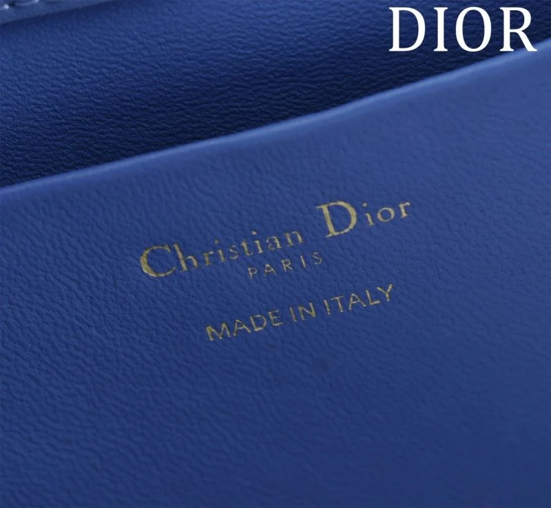 Official Christian Dior Shopping Bags