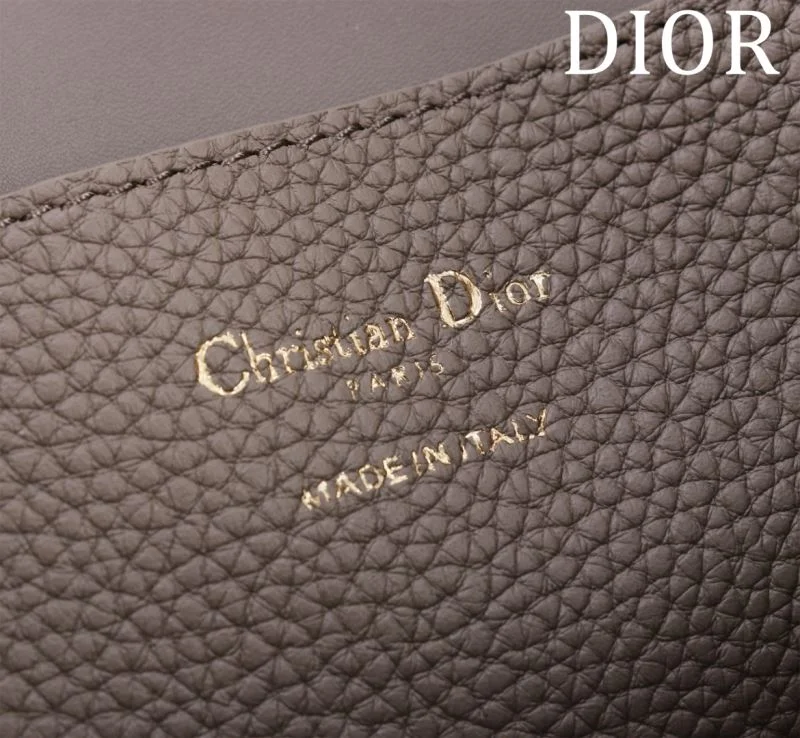 High fidelity Christian Dior Shopping Bags
