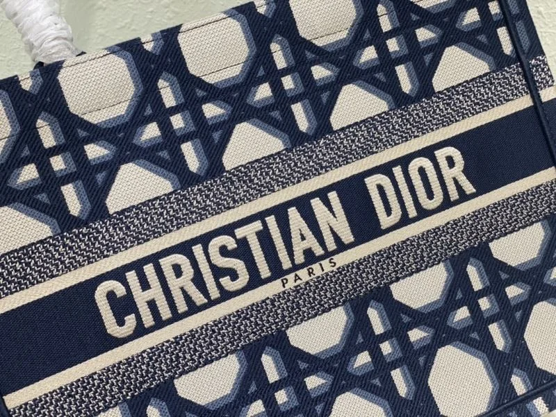Accurate model Christian Dior Shopping Bags