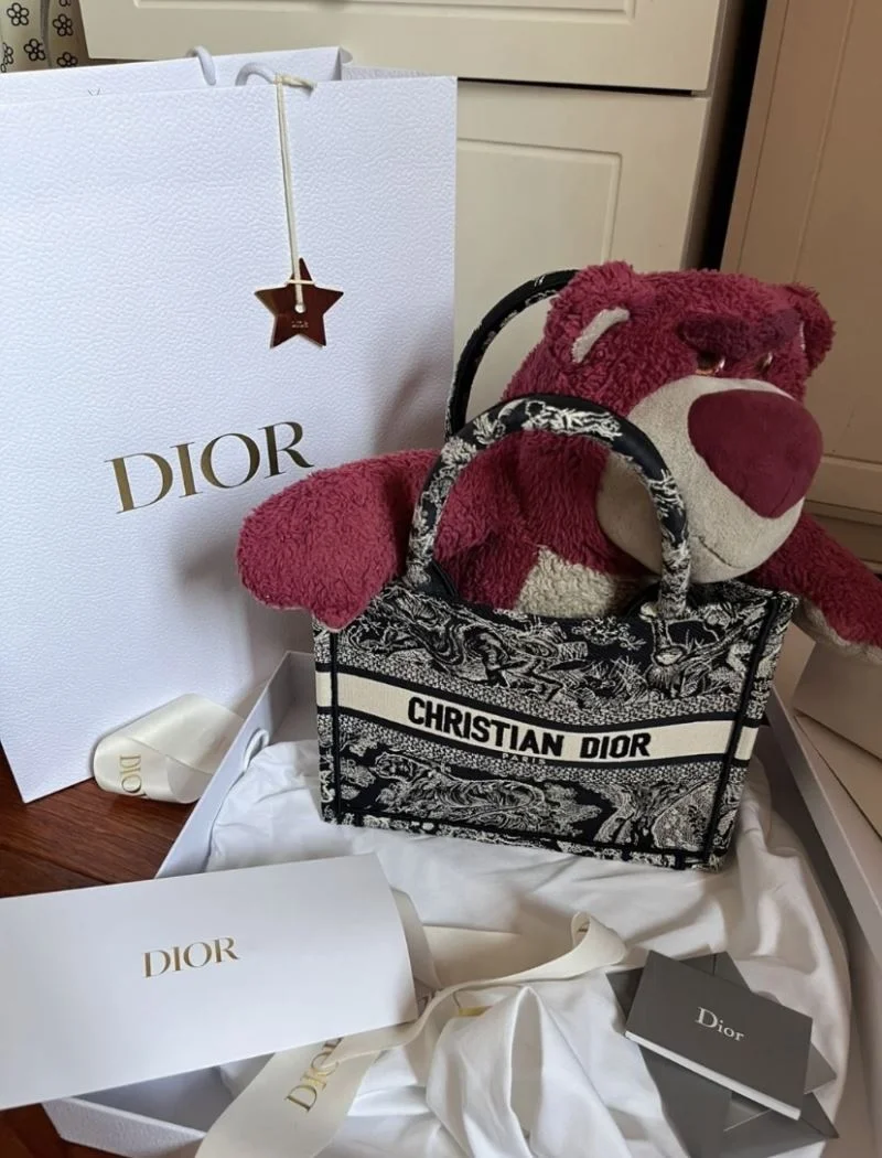 Precise copy Christian Dior Shopping Bags