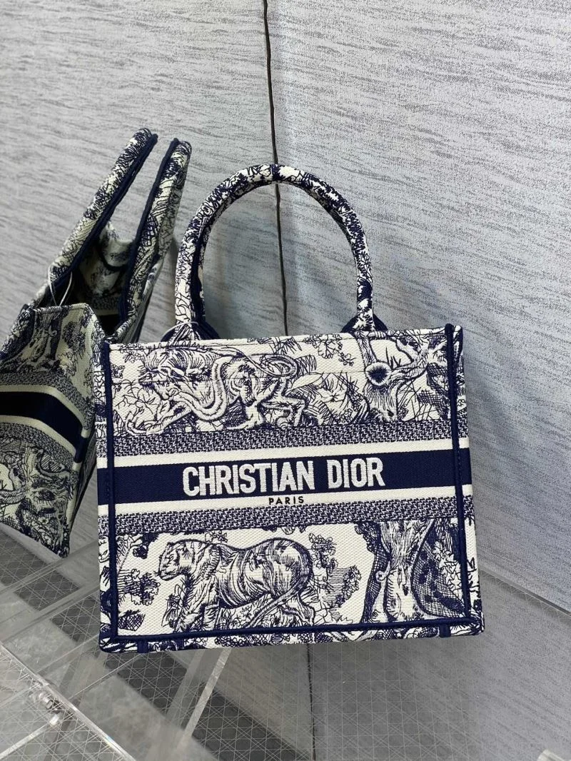 Christian Dior Shopping Bags