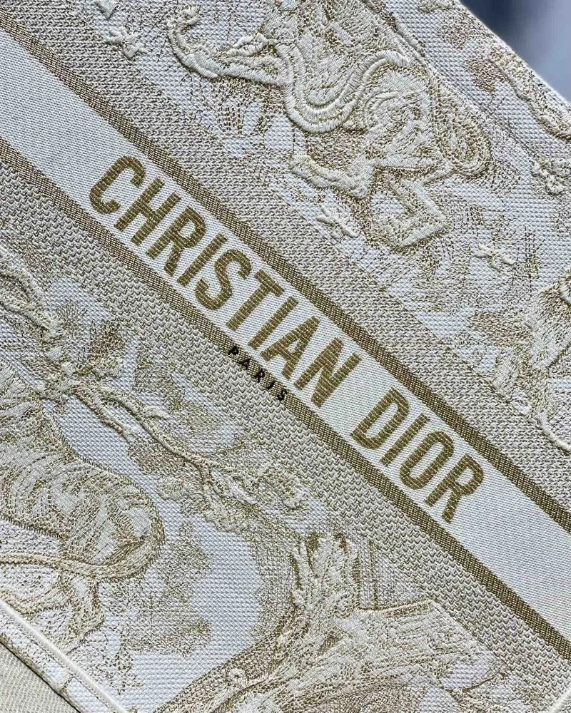 Accurate model Christian Dior Shopping Bags
