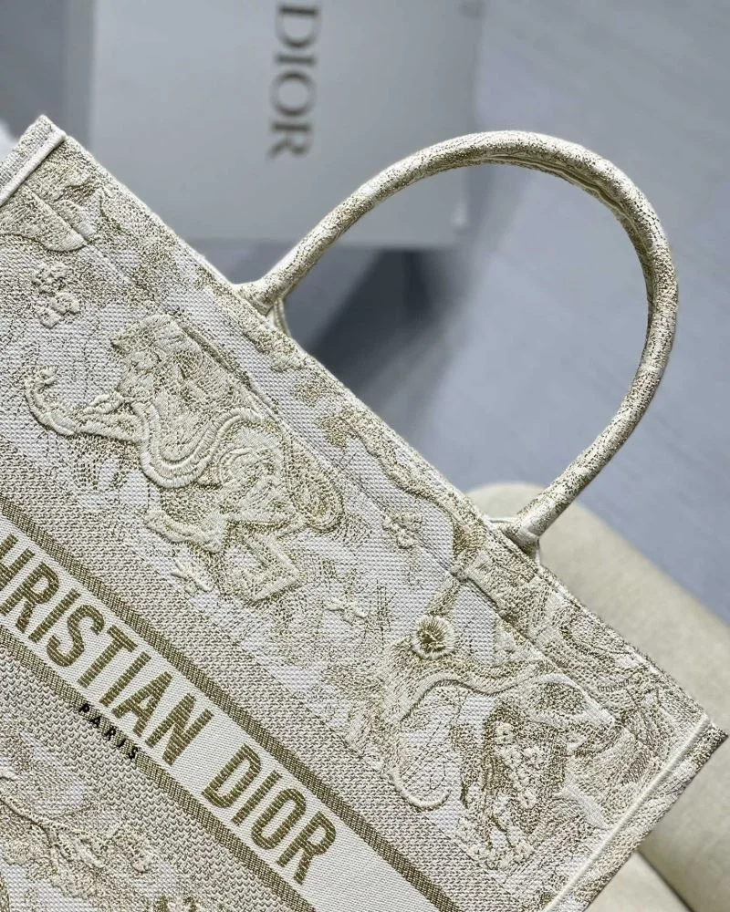 Accurate model Christian Dior Shopping Bags