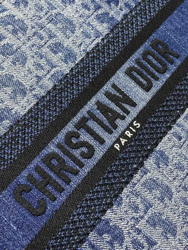 Accurate model Christian Dior Shopping Bags