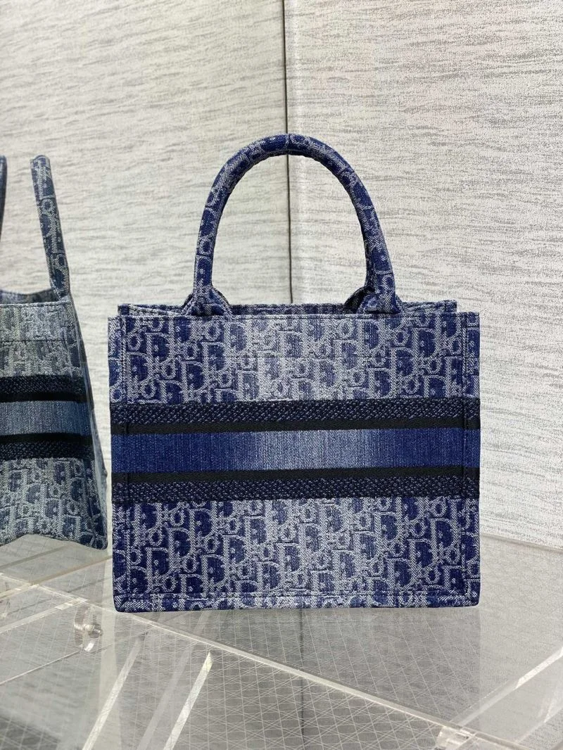 Accurate model Christian Dior Shopping Bags