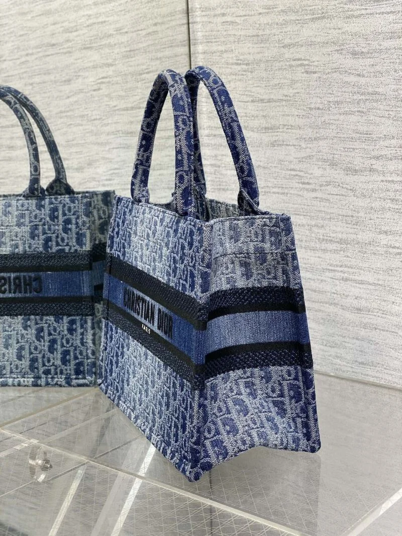 Accurate model Christian Dior Shopping Bags