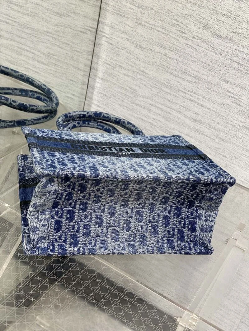 Accurate model Christian Dior Shopping Bags