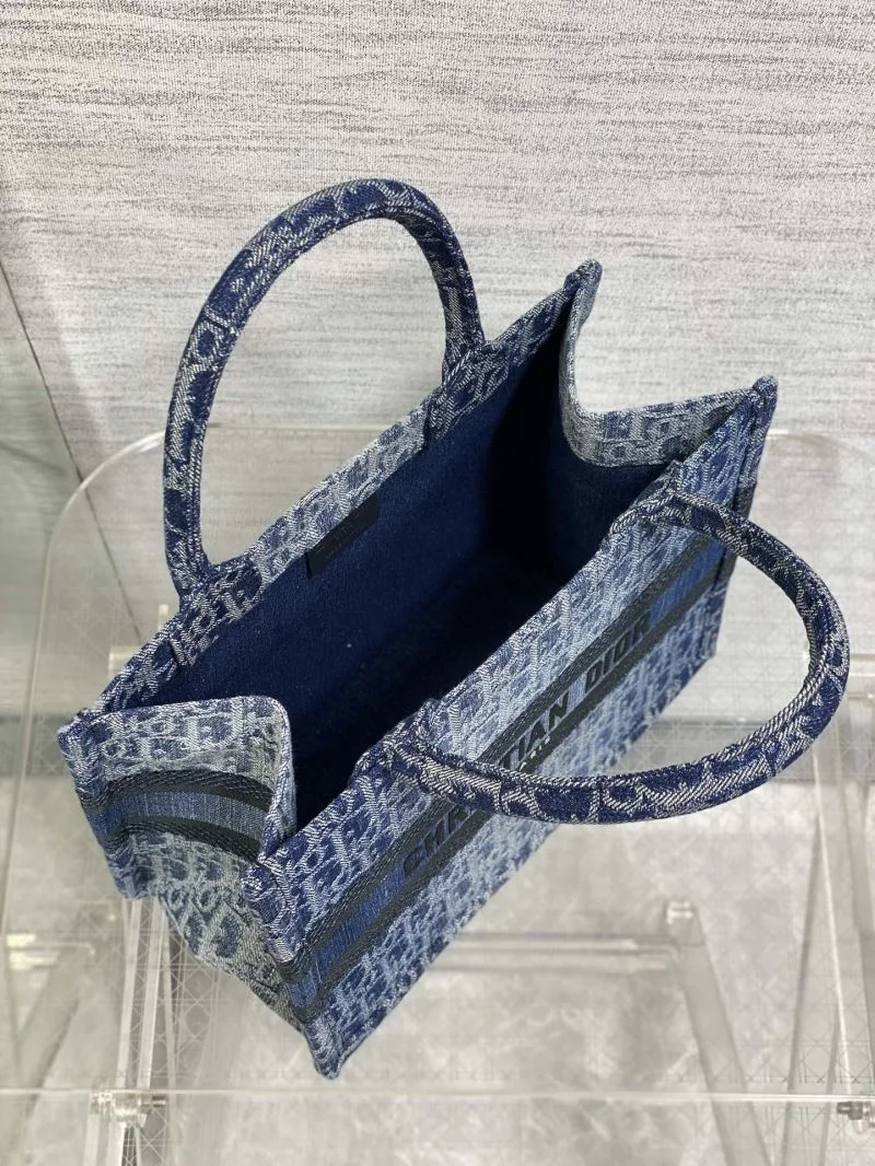 Accurate model Christian Dior Shopping Bags