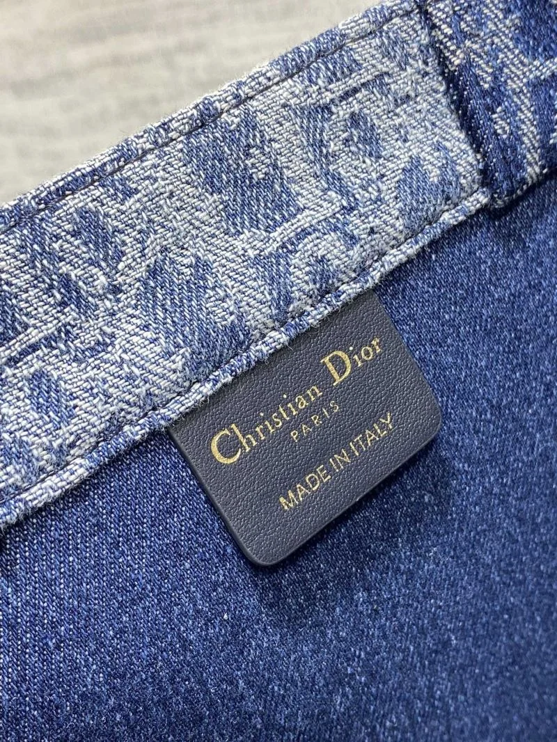 Accurate model Christian Dior Shopping Bags