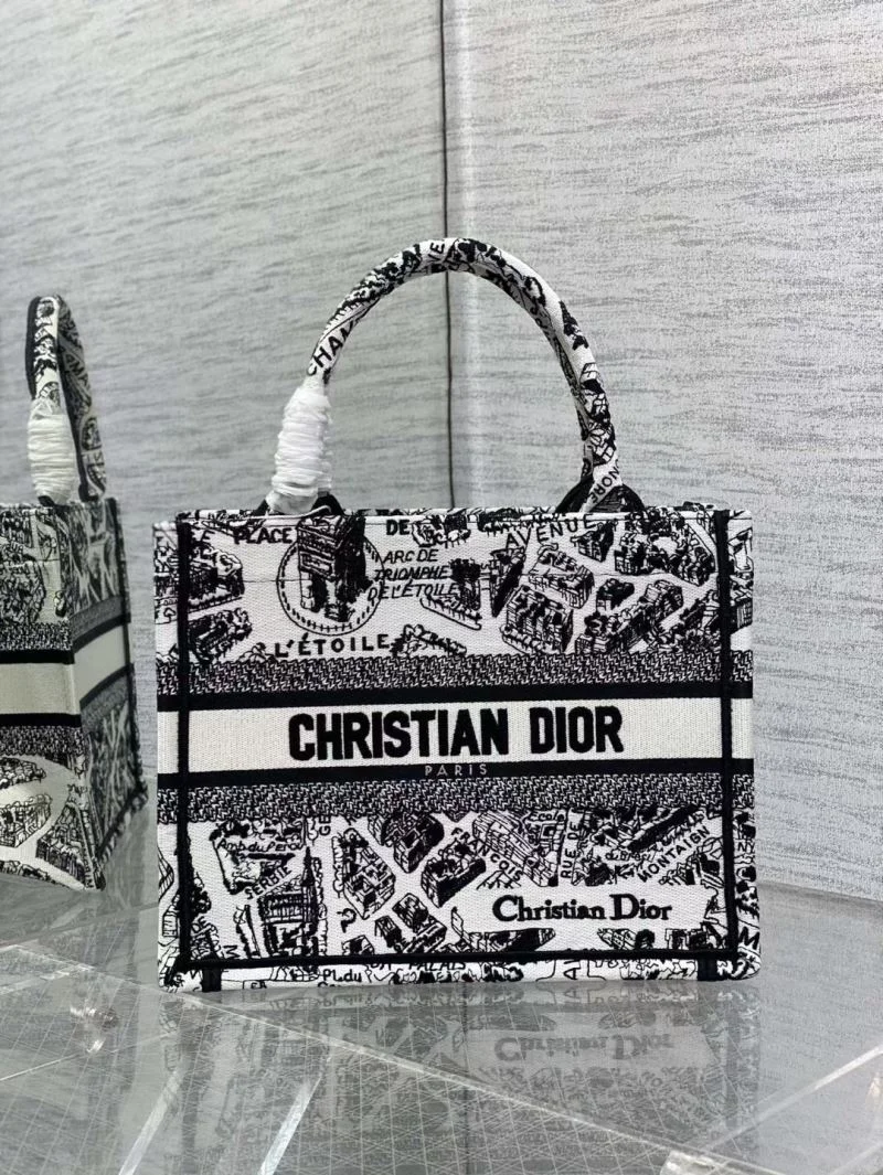 Christian Dior Shopping Bags