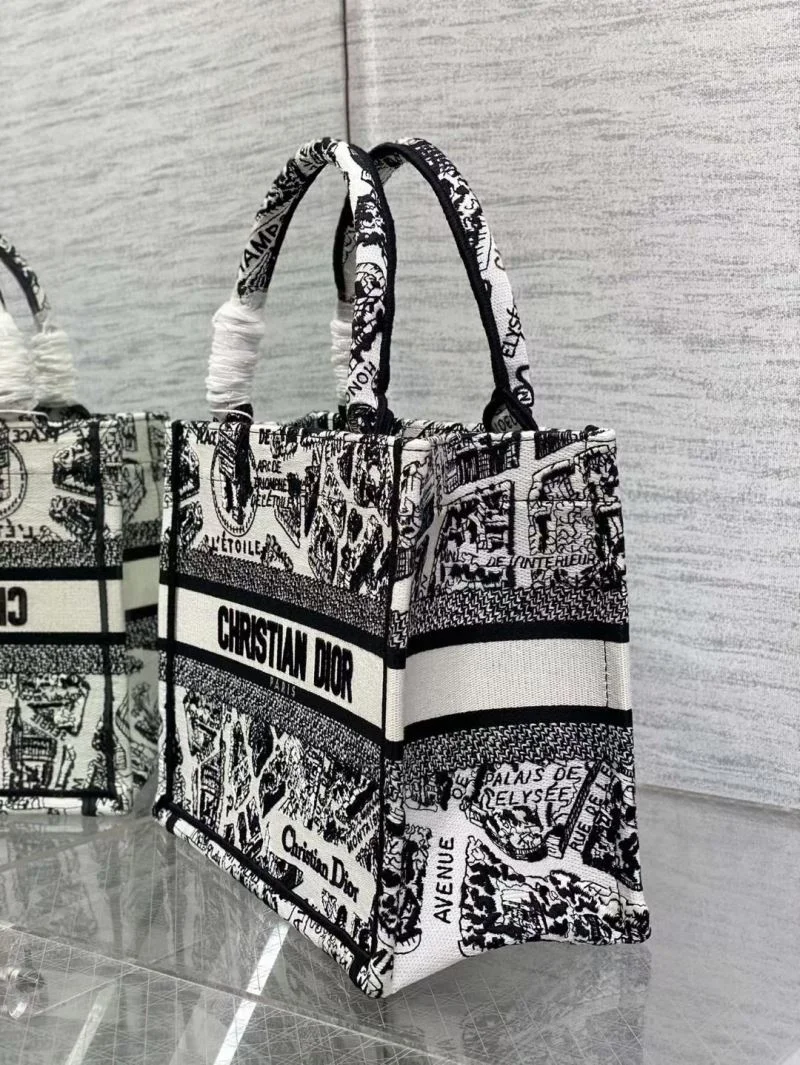 Legit Christian Dior Shopping Bags
