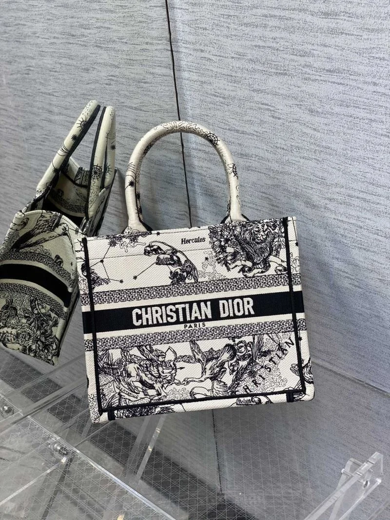 Christian Dior Shopping Bags