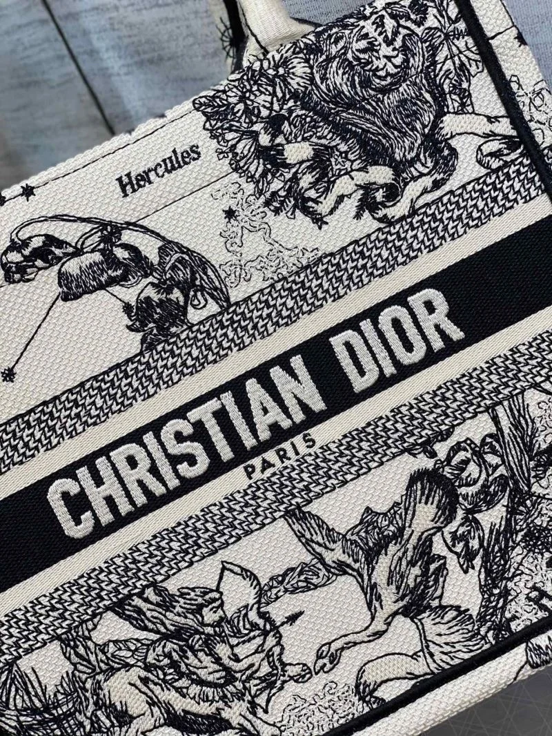 Legit Christian Dior Shopping Bags