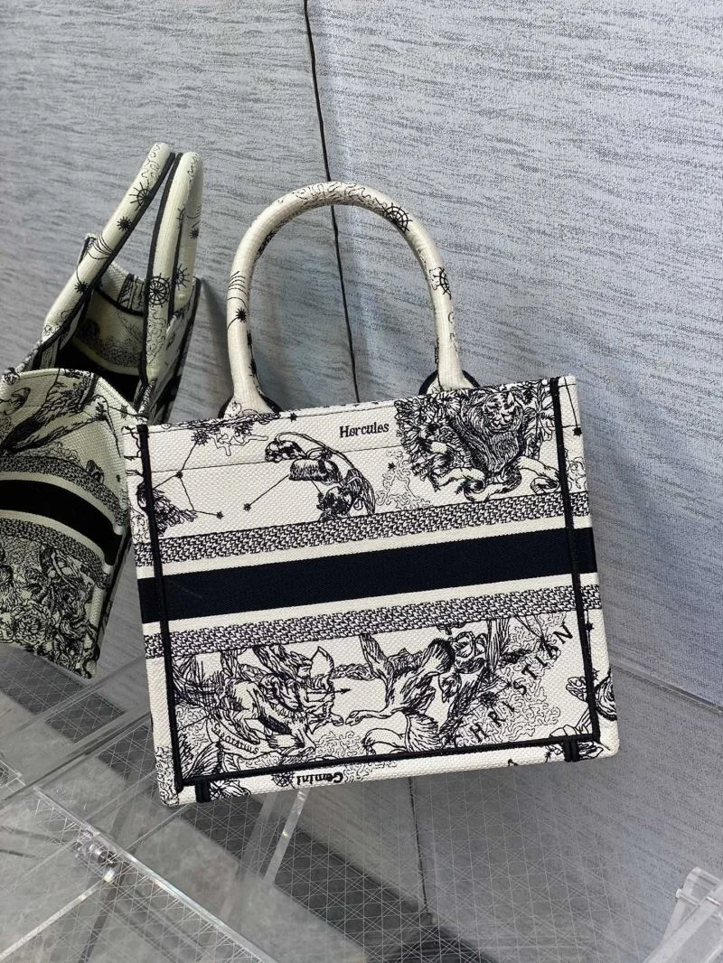 Legit Christian Dior Shopping Bags