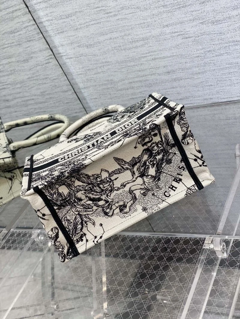 Legit Christian Dior Shopping Bags