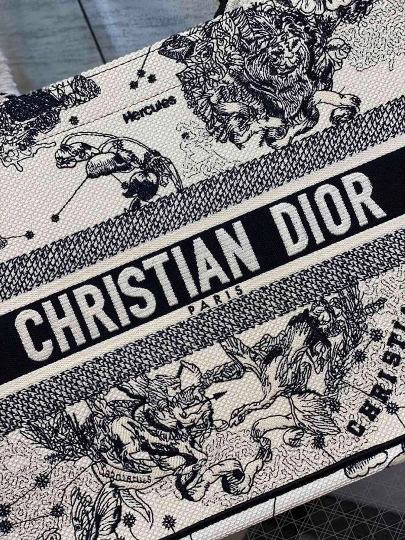 Indistinguishable Christian Dior Shopping Bags