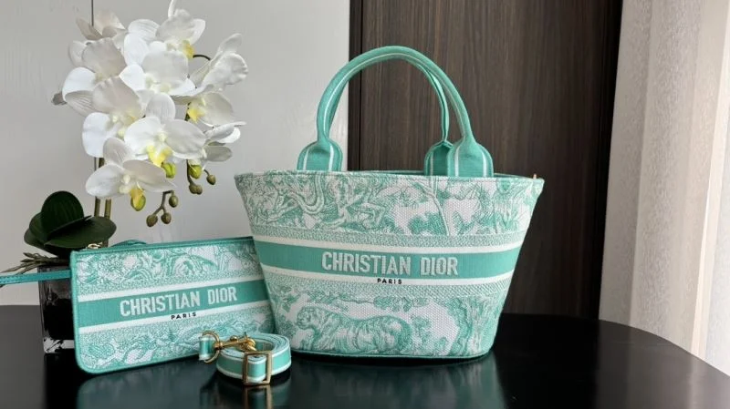 Christian Dior Shopping Bags