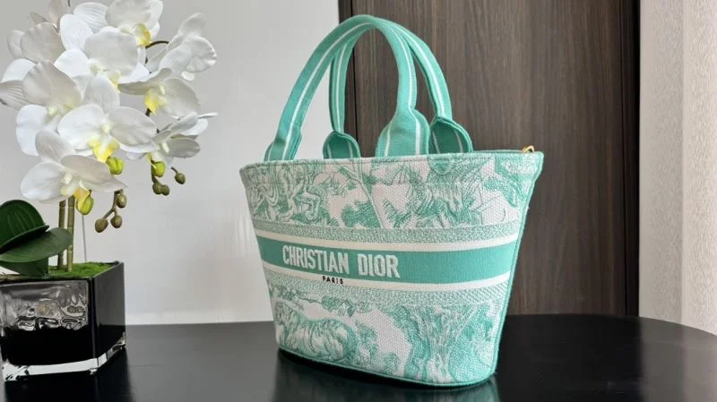 Inexpensive Christian Dior Shopping Bags