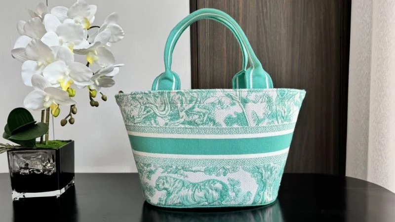 Inexpensive Christian Dior Shopping Bags