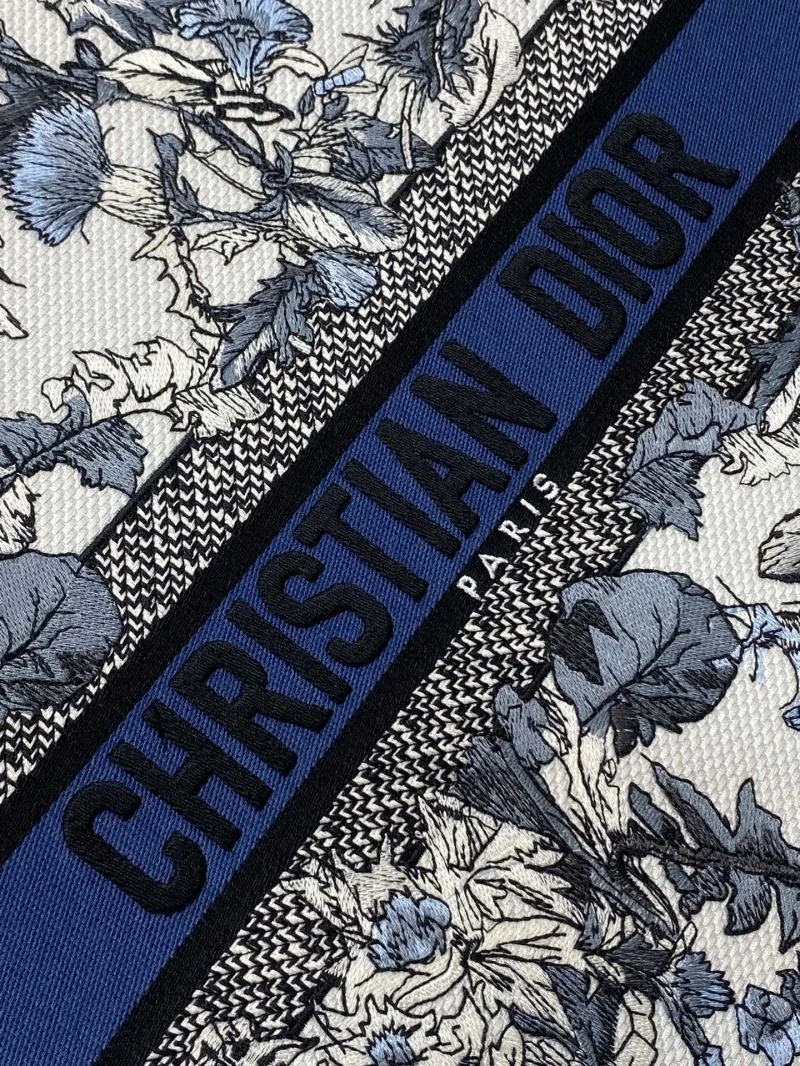 Accurate model Christian Dior Shopping Bags