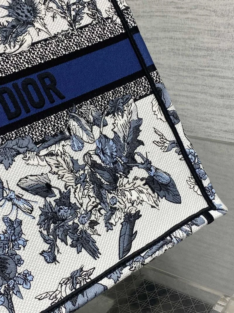 Accurate model Christian Dior Shopping Bags