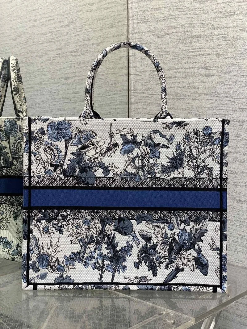 Accurate model Christian Dior Shopping Bags