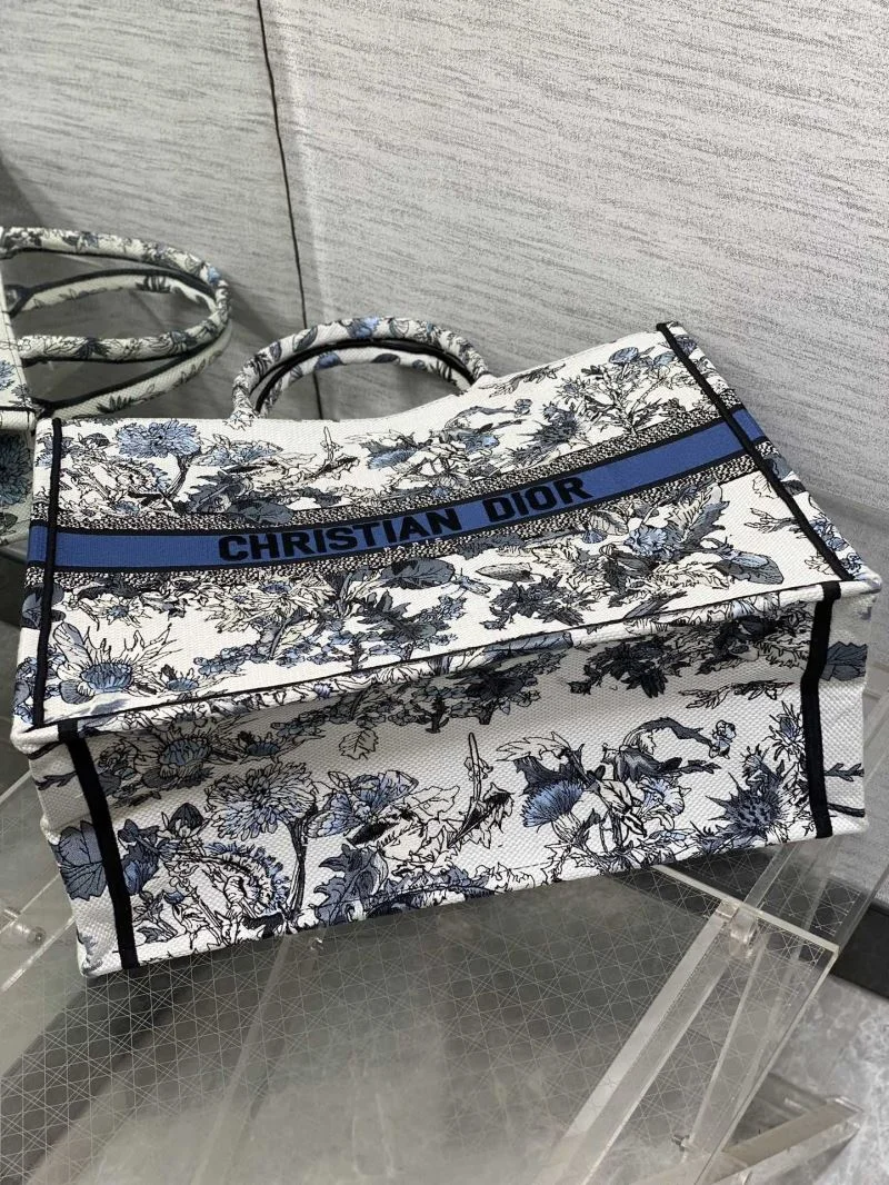 Accurate model Christian Dior Shopping Bags