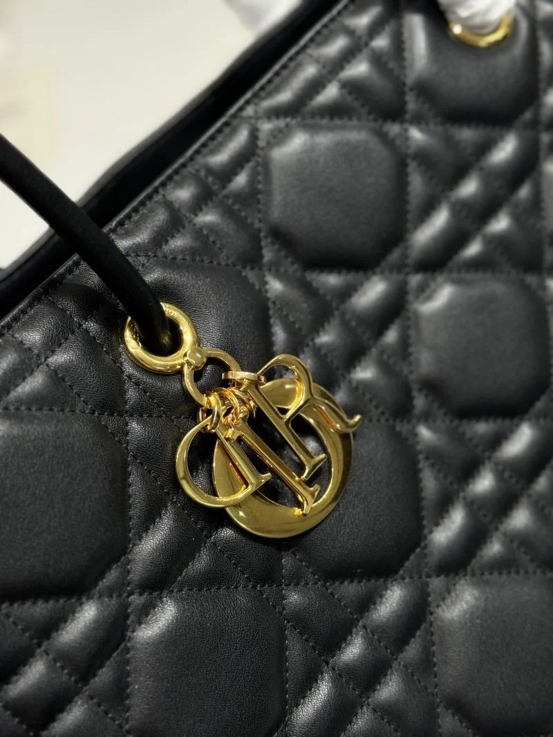 Official Christian Dior Shopping Bags