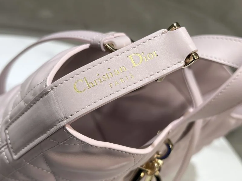 Accurate model Christian Dior Shopping Bags