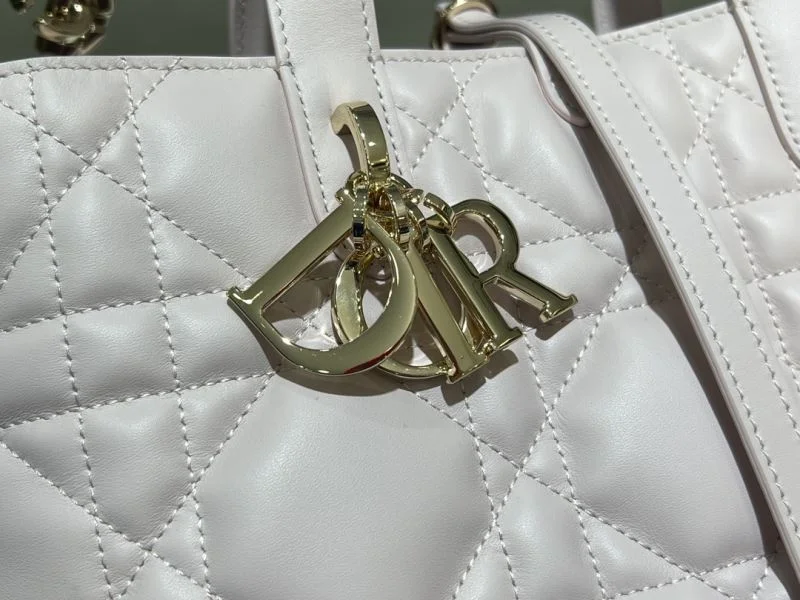 Accurate model Christian Dior Shopping Bags