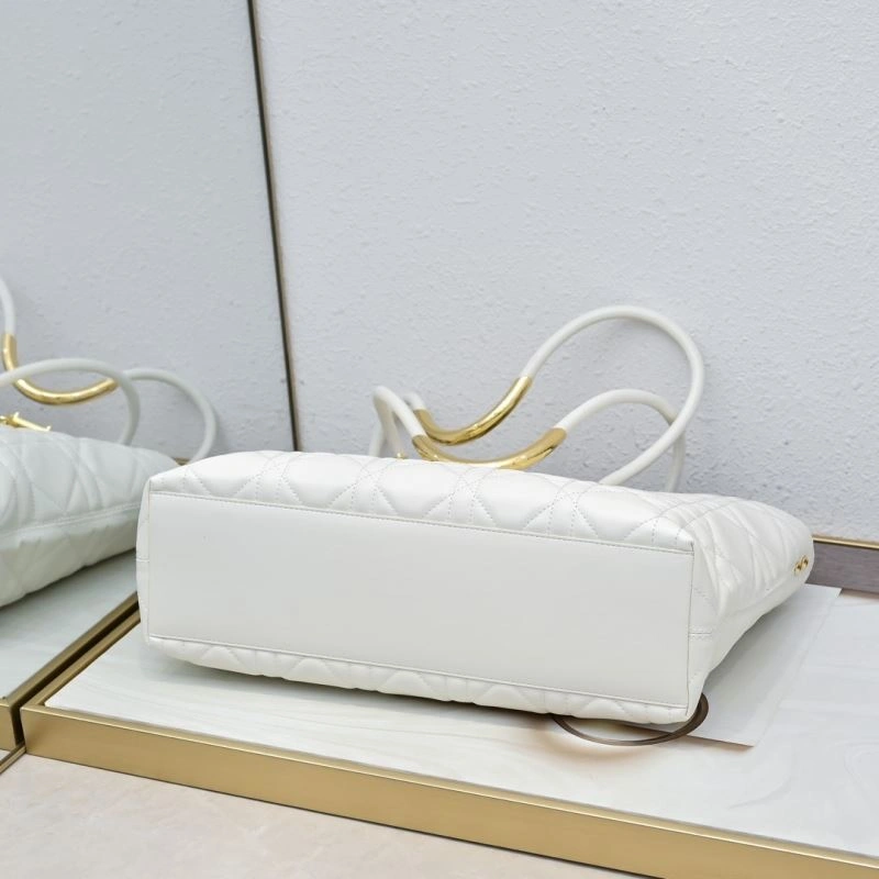 High accuracy Christian Dior Shopping Bags